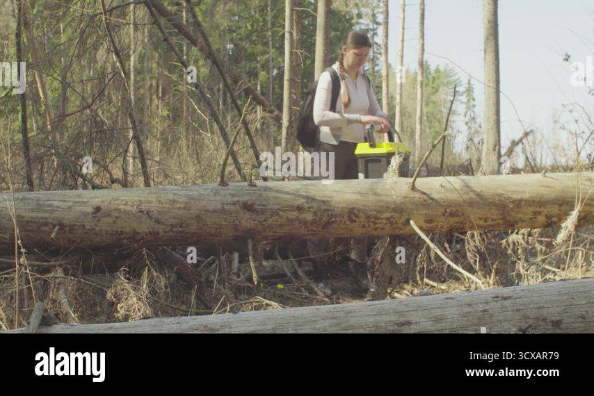 The ecologist Stock Videos & Footage - HD and 4K Video Clips - Alamy