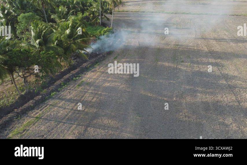 Open burning happen at Asia Stock Video Footage - Alamy