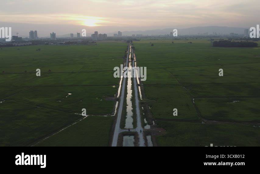 Drone view rural path in paddy field Stock Video Footage - Alamy