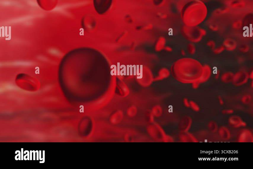 Realistic animation. red blood cells in an artery, flow inside body ...