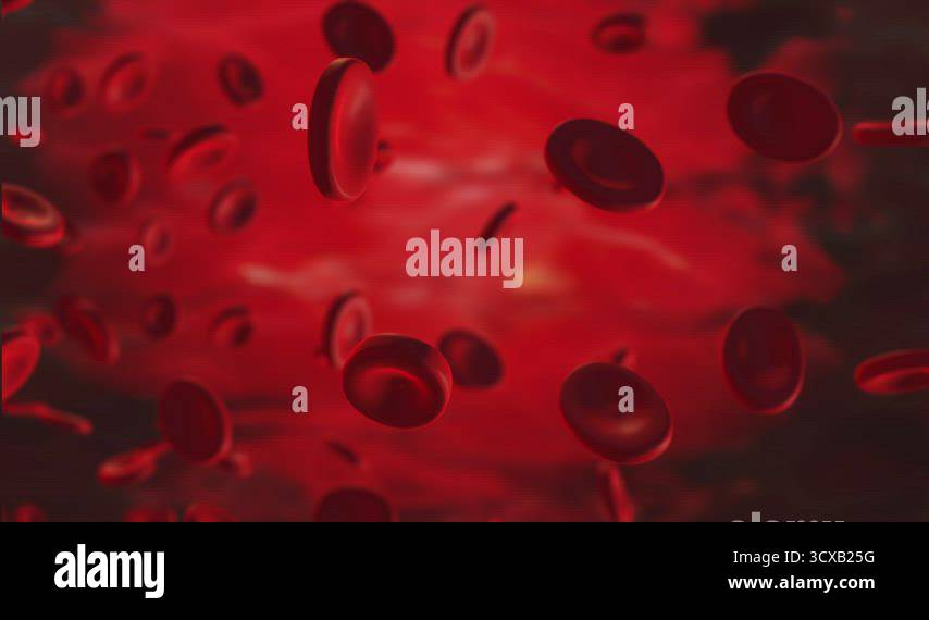 Realistic animation. red blood cells in an artery, flow inside body ...