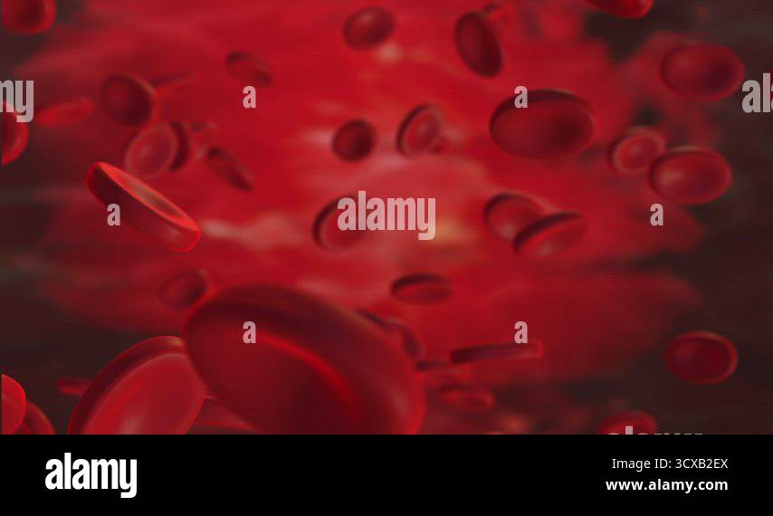 Realistic animation. red blood cells in an artery, flow inside body ...