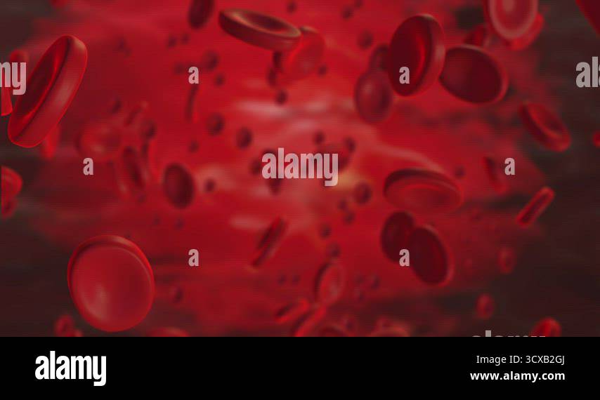 Realistic animation. red blood cells in an artery, flow inside body ...
