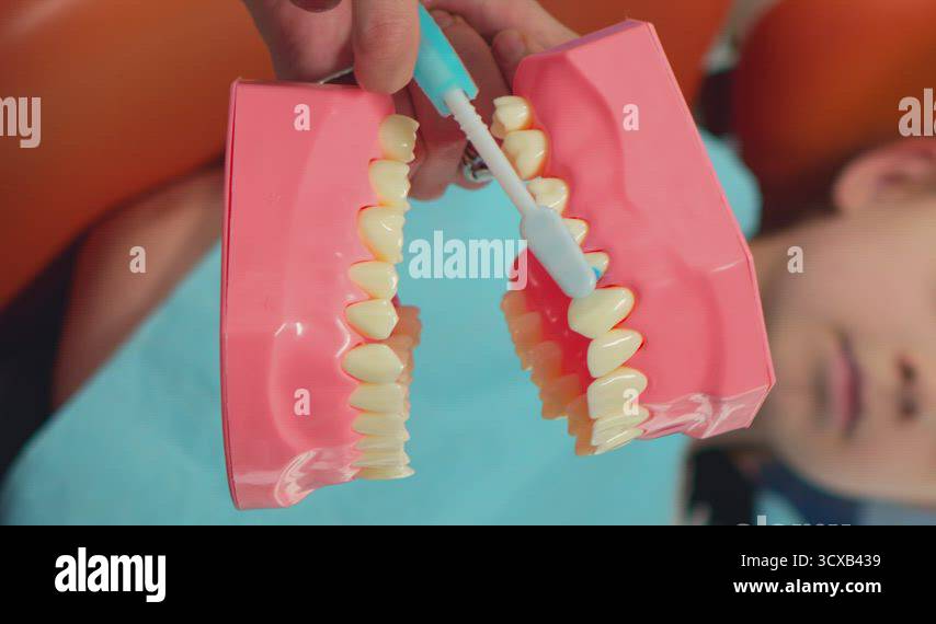 Vertical video: Pediatric dentist showing the correct dental hygiene ...