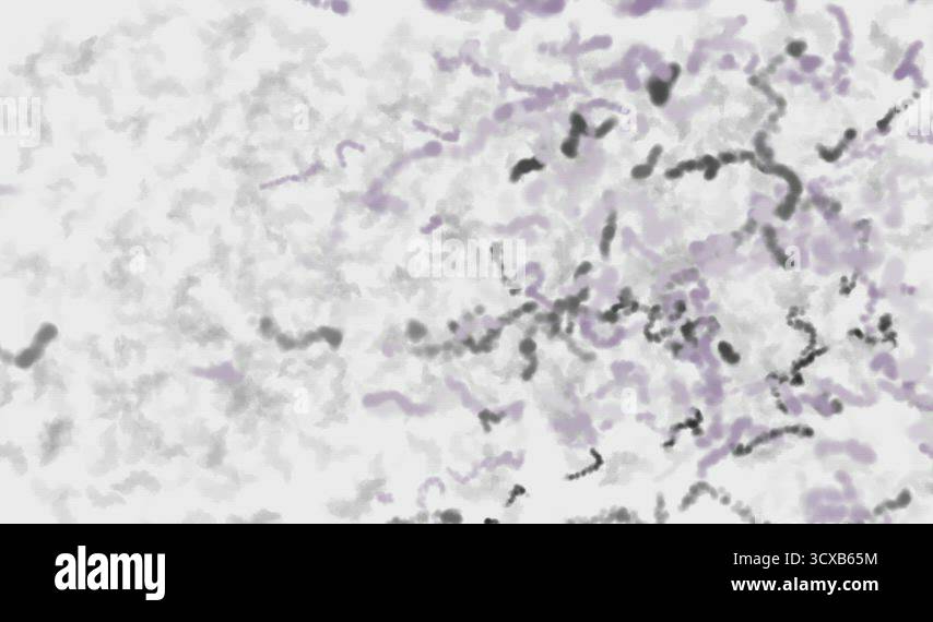 animation - bacteria swimming in pond water Stock Video Footage - Alamy