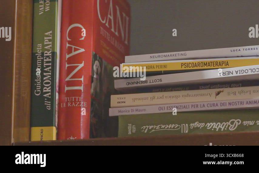 Objects on a shelf Stock Videos & Footage - HD and 4K Video Clips - Alamy