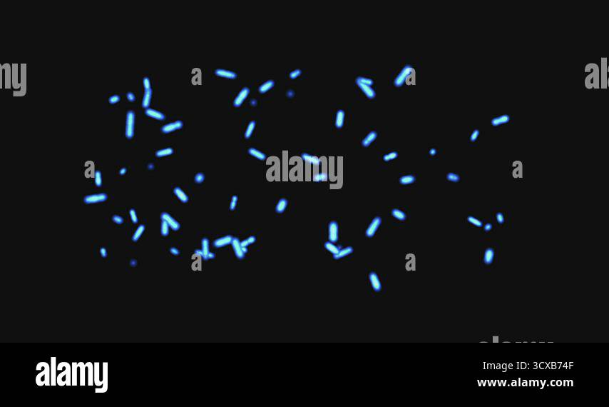 Animation microscopic bacteria medical background Stock Videos ...