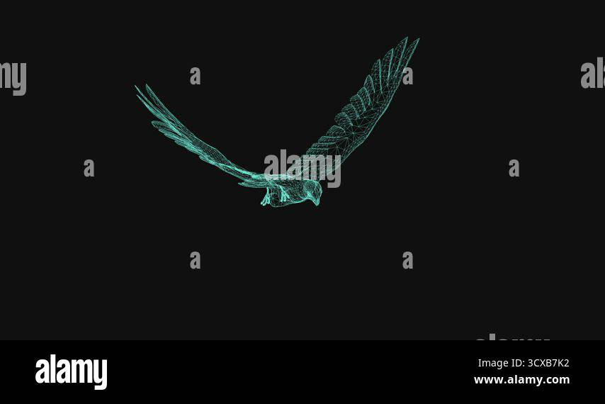 wire frame 3d animation of Falcon Gliding and Flapping isolated on ...