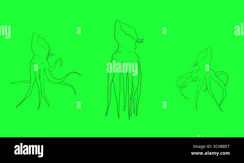 Hand Drawn Animation of Monster Octopuses on green screen Stock Video ...