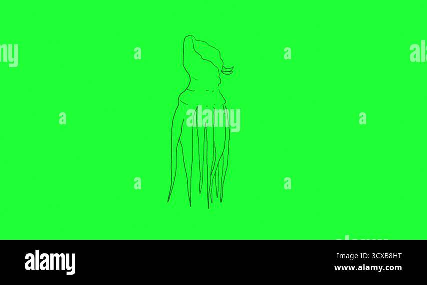 Hand Drawn Animation of Monster Octopus on green screen Stock Video ...