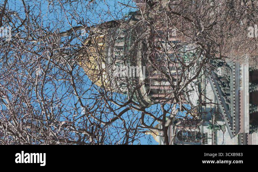 Vertical footage of Colonnade of St. Isaacs Cathedral through branches ...