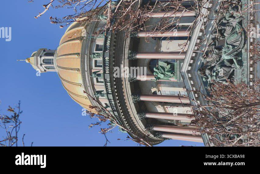 Vertical footage of Colonnade of St. Isaacs Cathedral through branches ...