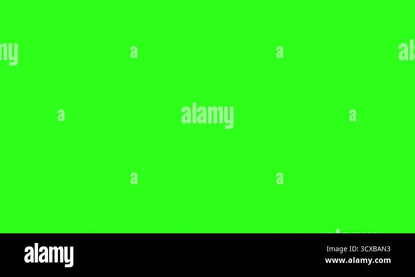 Yellow turtle swims underwater. 4K footage isolated on green screen ...