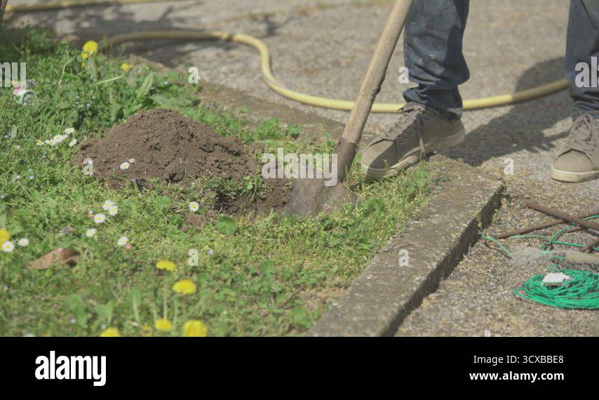 To dig a hole Stock Videos & Footage - HD and 4K Video Clips - Alamy