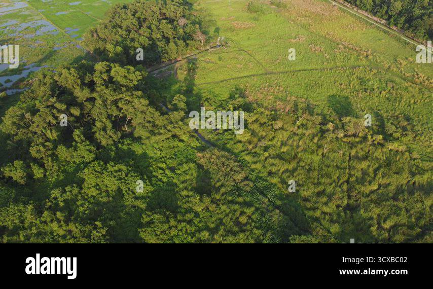 Cogan grass Stock Videos & Footage - HD and 4K Video Clips - Alamy