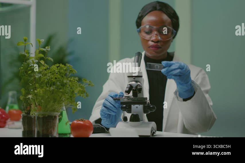 Science portrait woman microscope Stock Videos & Footage - HD and 4K ...