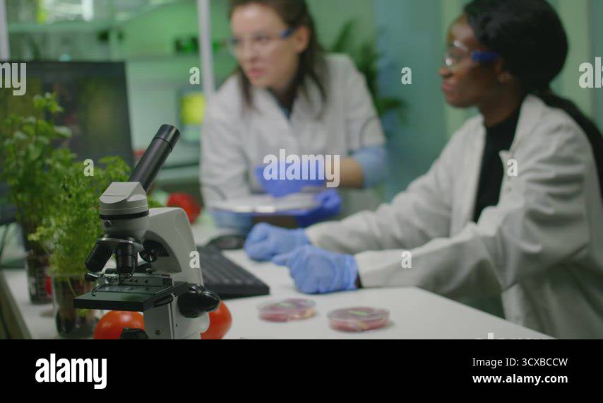 Medical team researchers analyzing botany expertise on computer Stock ...