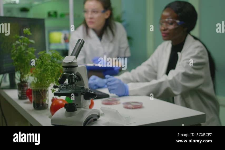 Medical team researchers talking Stock Videos & Footage - HD and 4K ...
