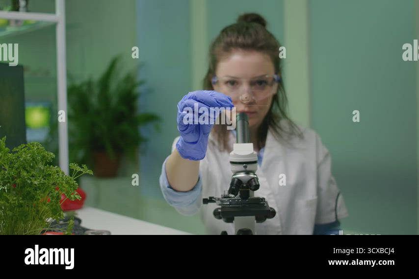 Biologist taking green leaf sample putting under microscope Stock Video ...