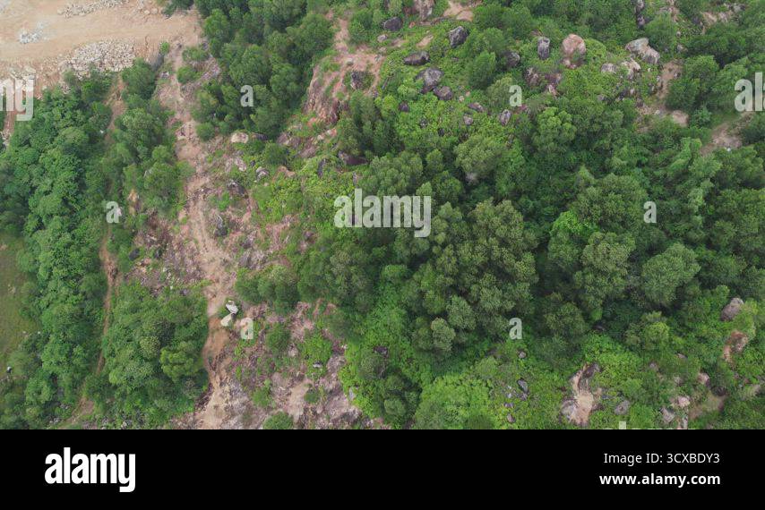 Deforestation green tree in aerial Stock Videos & Footage - HD and 4K ...