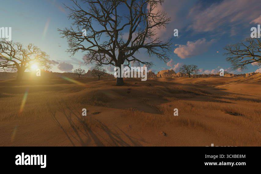 Trees without branches in beautiful Stock Videos & Footage - HD and 4K ...