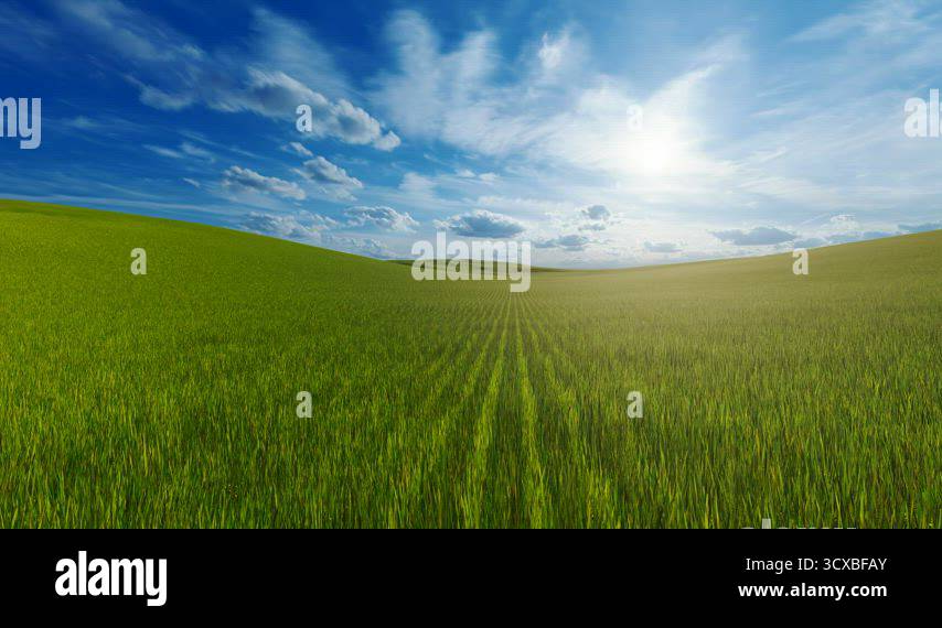 Green grass on hill animation with beautiful sky Stock Video Footage ...