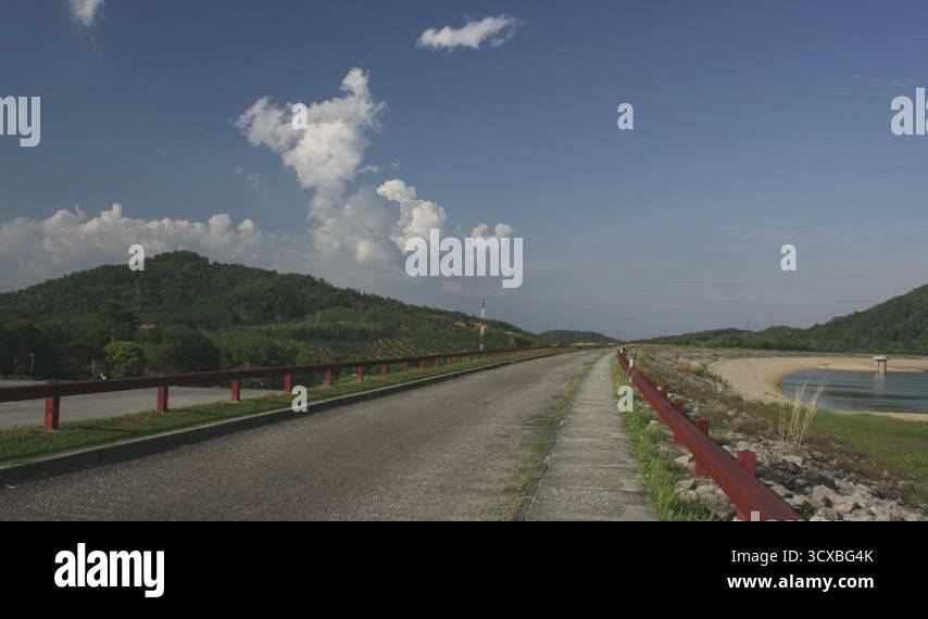 Tar plant Stock Videos & Footage - HD and 4K Video Clips - Alamy