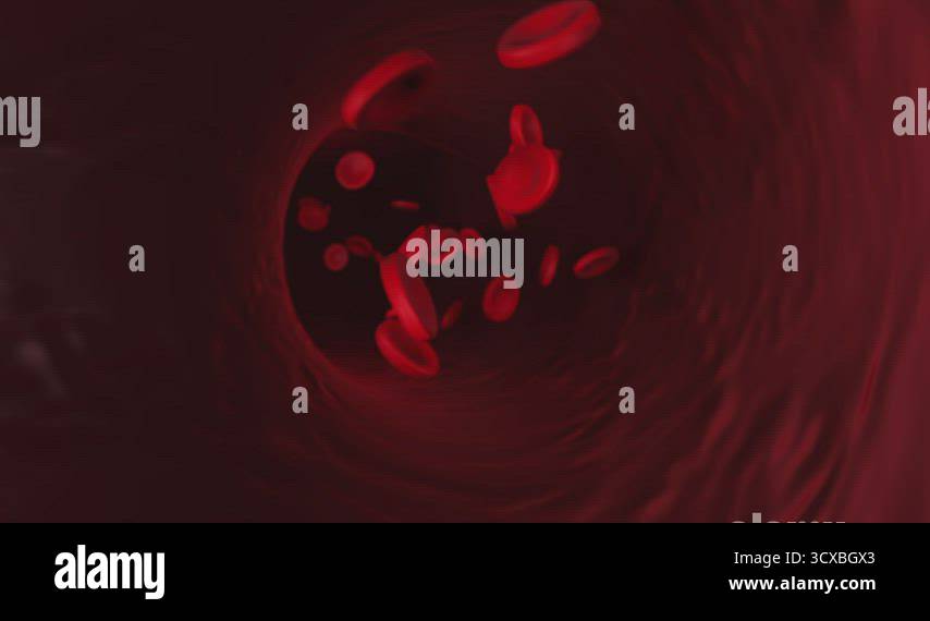 Realistic animation. red blood cells in an artery, flow inside body ...