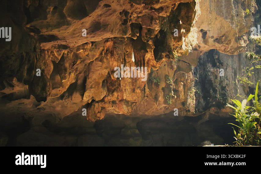 Cave opening up to a forest tilt up Kampong Trach 4k Stock Video ...