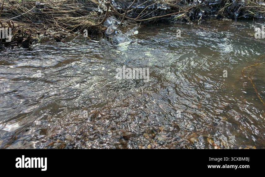Spring streams in nature. The stream of water flows quickly to the ...