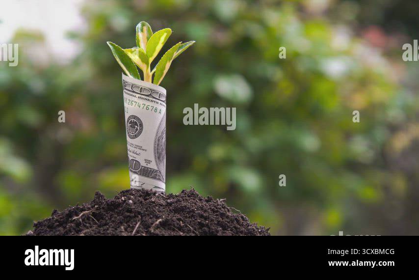 Economic Growth symbol Stock Video Footage - Alamy