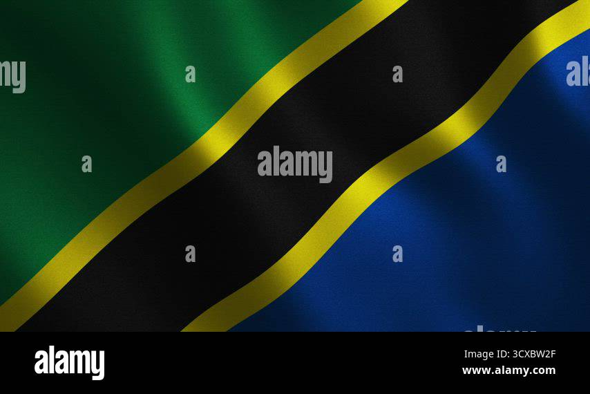 Tanzania flag waving 3d. Abstract background. Loop animation Stock ...
