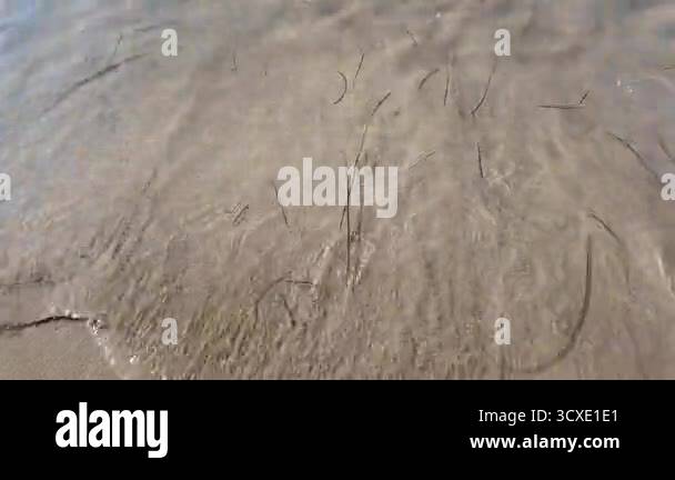 Close-up overhead view of very shallow, clear water retreating from the ...