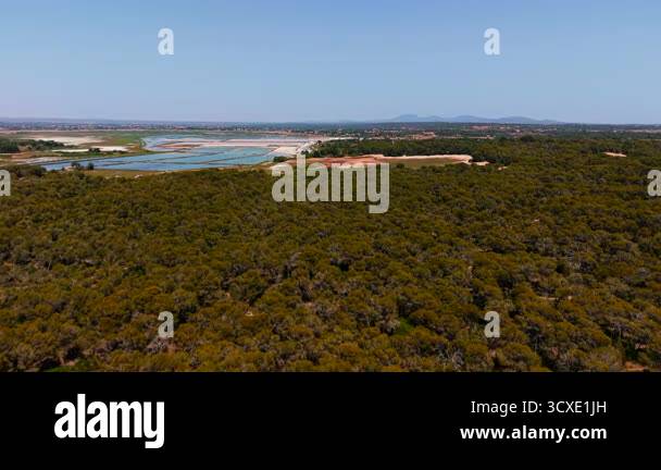 Natural park with salt evaporation ponds and es trenc beach in mallorca ...