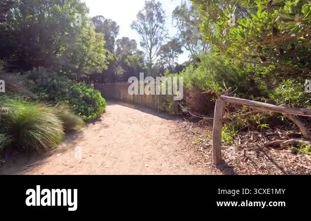 Scenic walk through lush zoo pathways Stock Video Footage - Alamy
