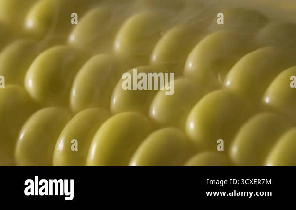 Boiling corn in steaming during cooking process. Cooking fresh ...