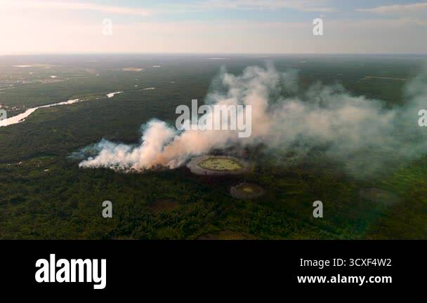 Planned prescribed burn in Florida forest improves ecosystem health ...
