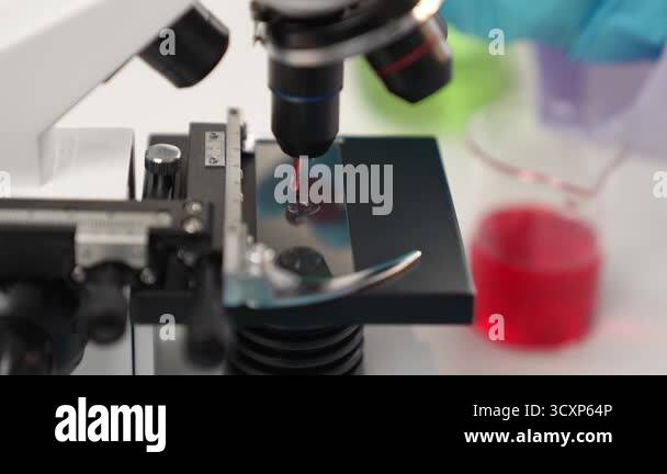 Scientific laboratory researcher drop blood sample on microscopic slide ...