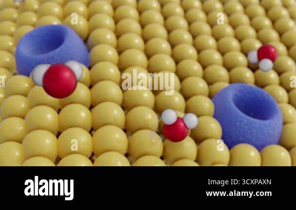 3d animation Schematic depiction of water molecule going inside the ...
