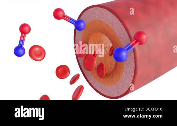 3D animated visualization illustrates the molecular and cellular ...