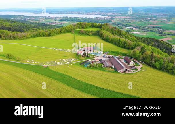 A large livestock production farm stands on a high hill with green ...