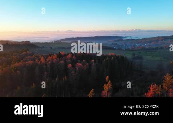 Mountain valley with dense dark pine forest, wild grassy empty fields ...