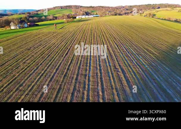 Green agricultural unplanted fields covered with fresh grass on a hilly ...