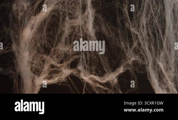 Close up of a realistic spider web texture, ideal for Halloween themes ...