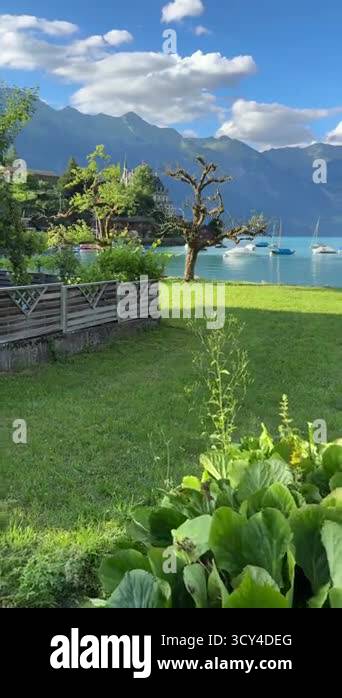 The beautiful Interlaken valley and Thunersee lake, Beatiful river at ...