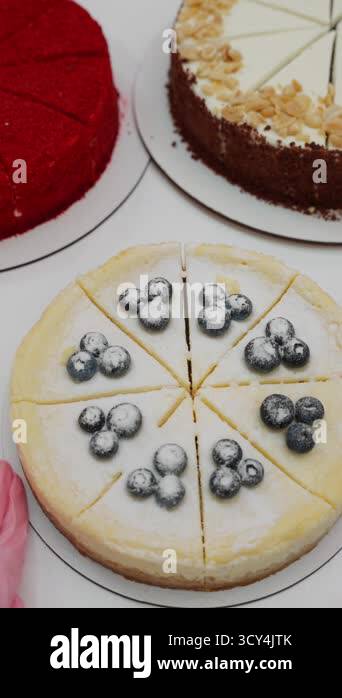 Blueberry cheesecake with powdered sugar topping, surrounded by red ...