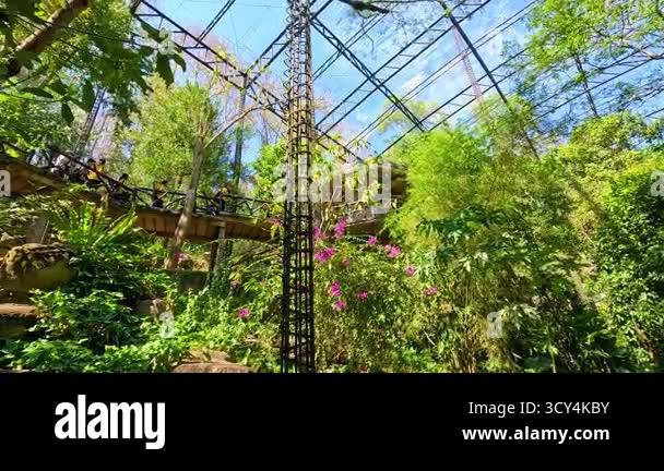 Vibrant greenery inside a large bird aviary Stock Video Footage - Alamy