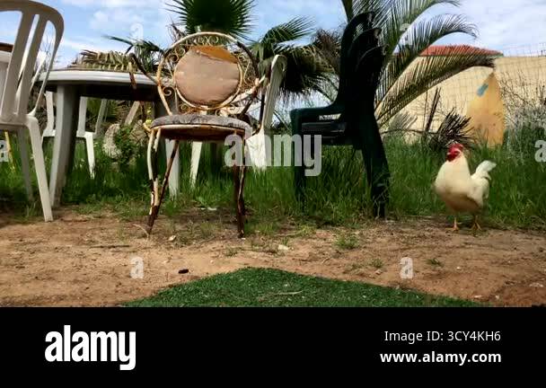 Vertical shot chair white Stock Videos & Footage - HD and 4K Video ...