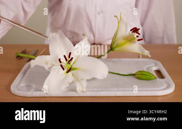 A scientist in a lab coat examines a lily flower using a pipette on a ...
