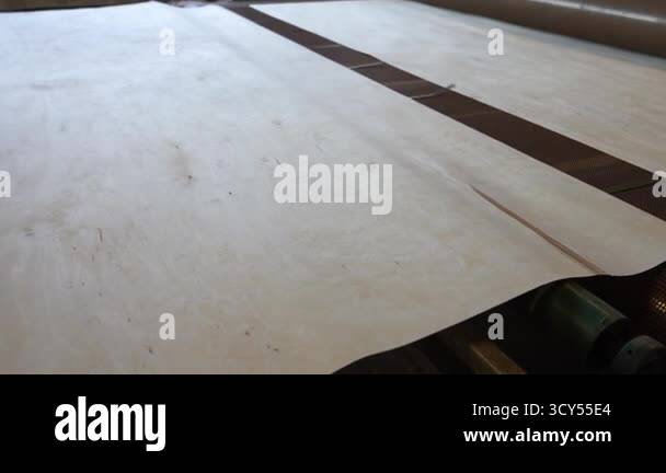 Thin veneer Stock Videos & Footage - HD and 4K Video Clips - Alamy